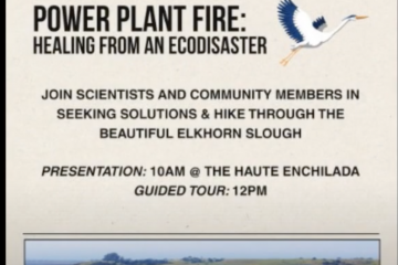 BESS fire – Greenaction for Health and Environmental Justice